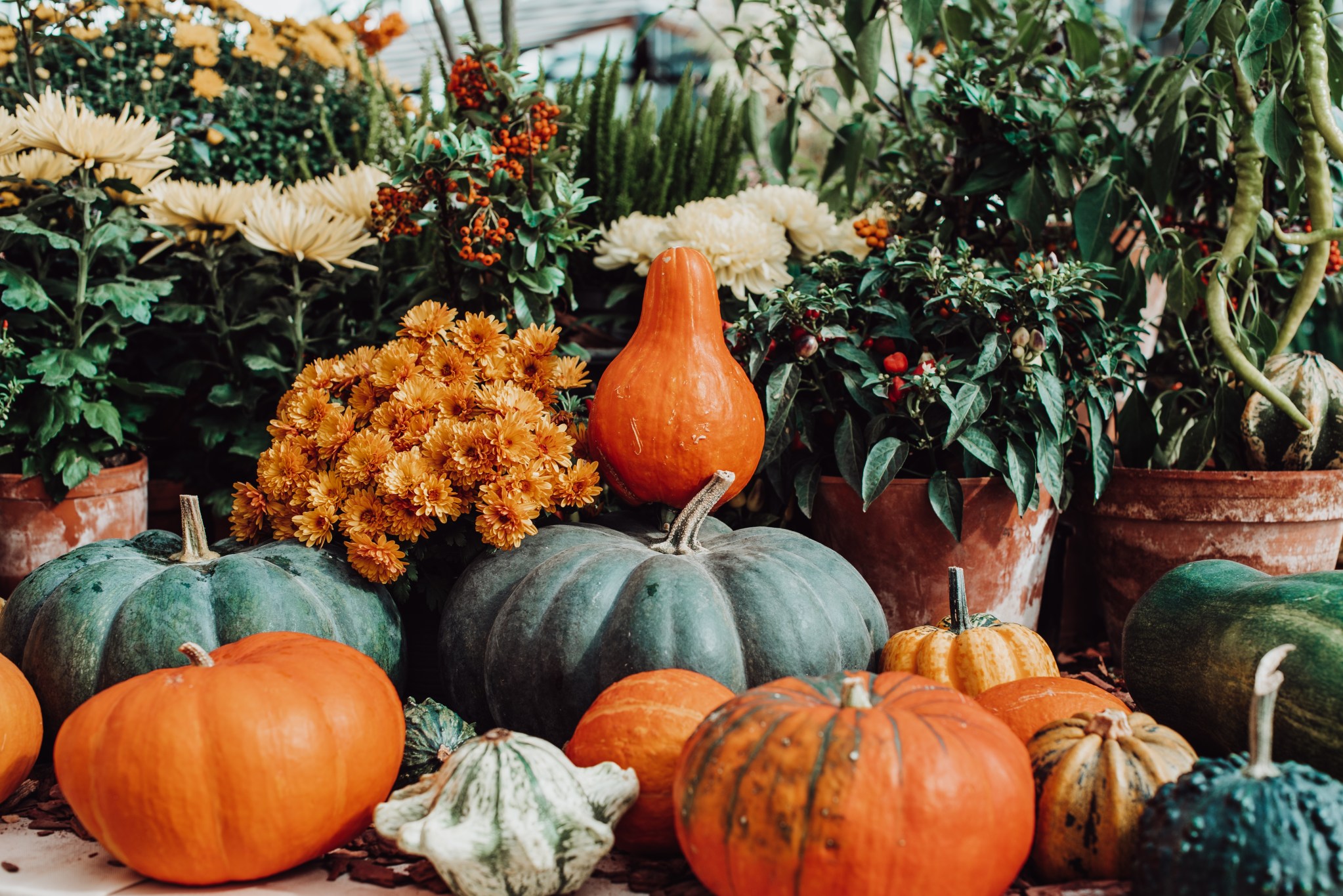 Local Insider: Indiana events and activities October 2025